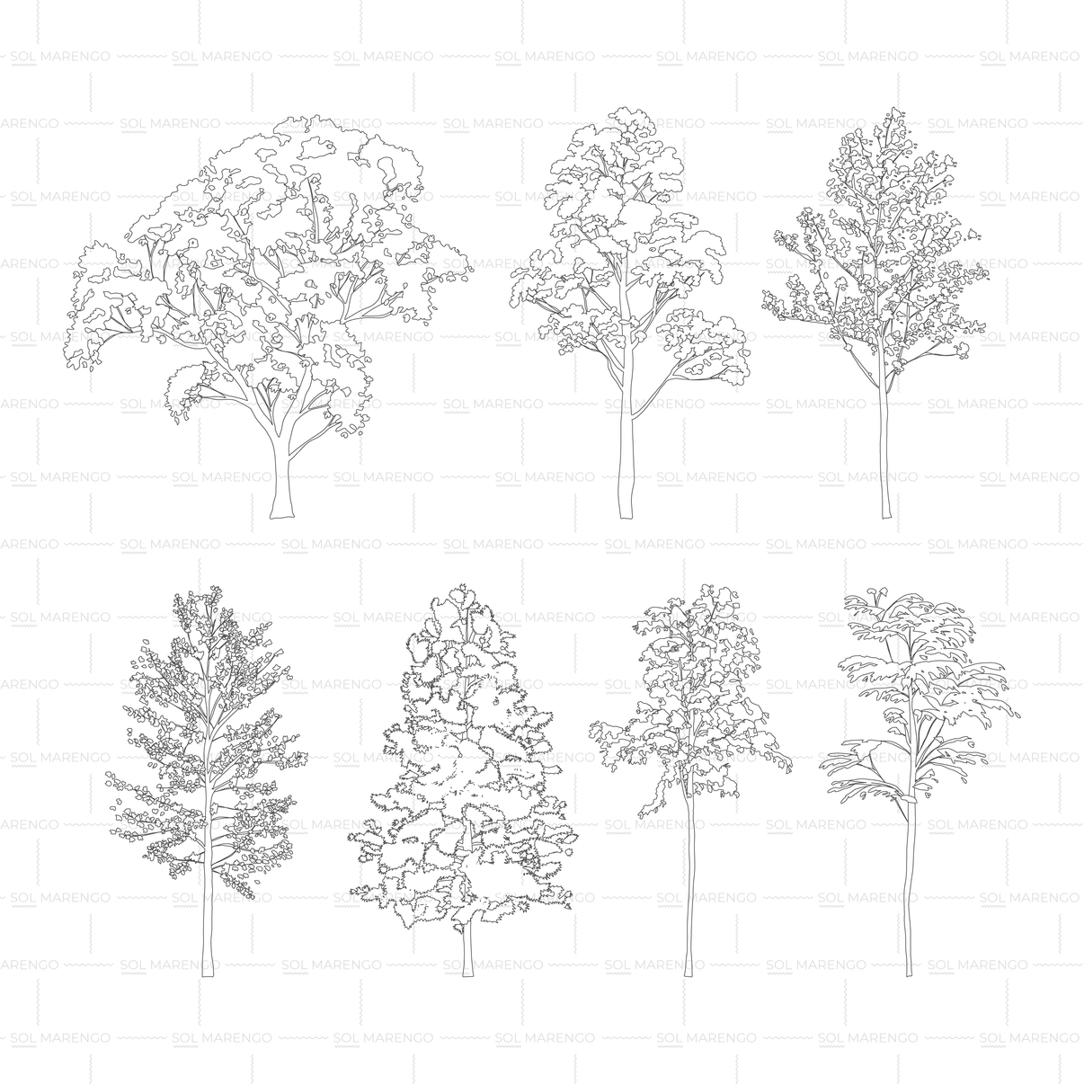 Vegetación en planta y alzado | CAD & Vector – Sol Marengo
