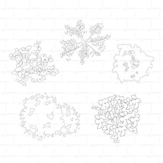 Vegetación en planta y alzado | CAD & Vector – Sol Marengo