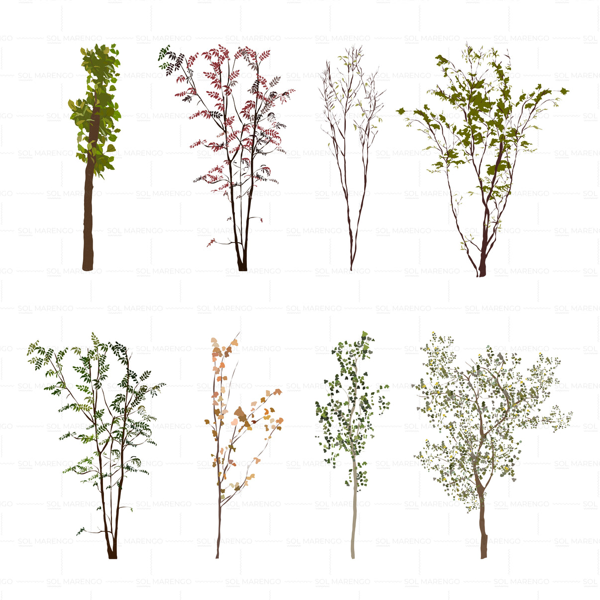 Illustrated vegetation | Vector, PNG & SVG – Sol Marengo